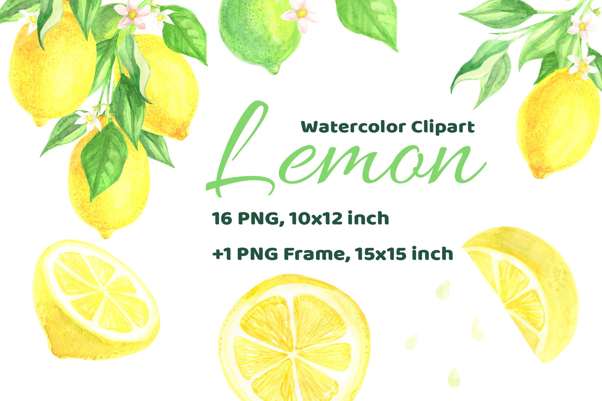 Watercolor Lemon Citrus Fruit Hand Drawn Clip Art