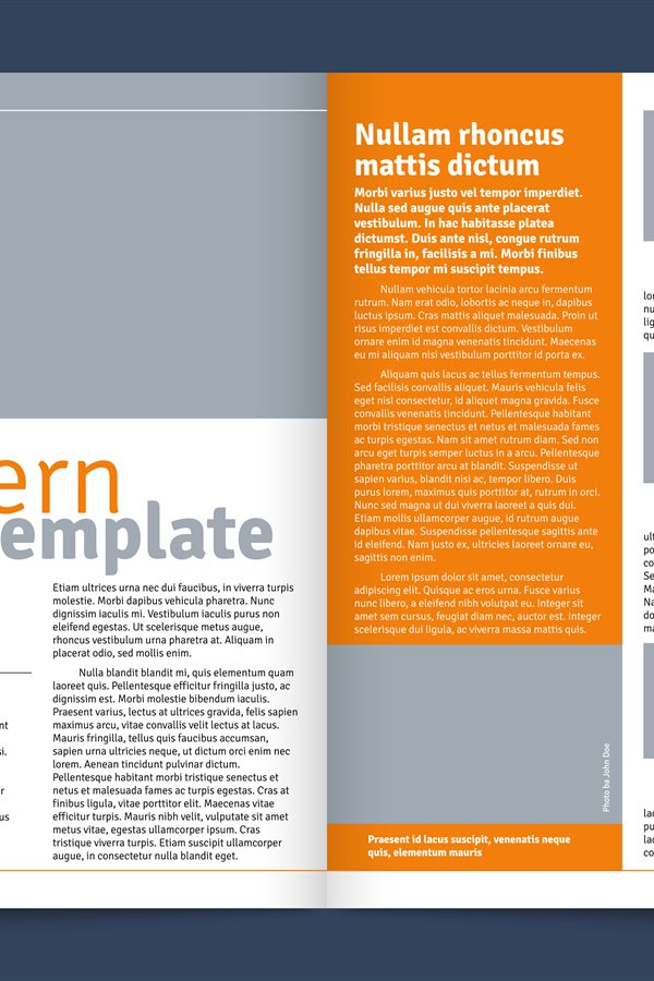 Modern magazine or newspaper vector layout with text modular