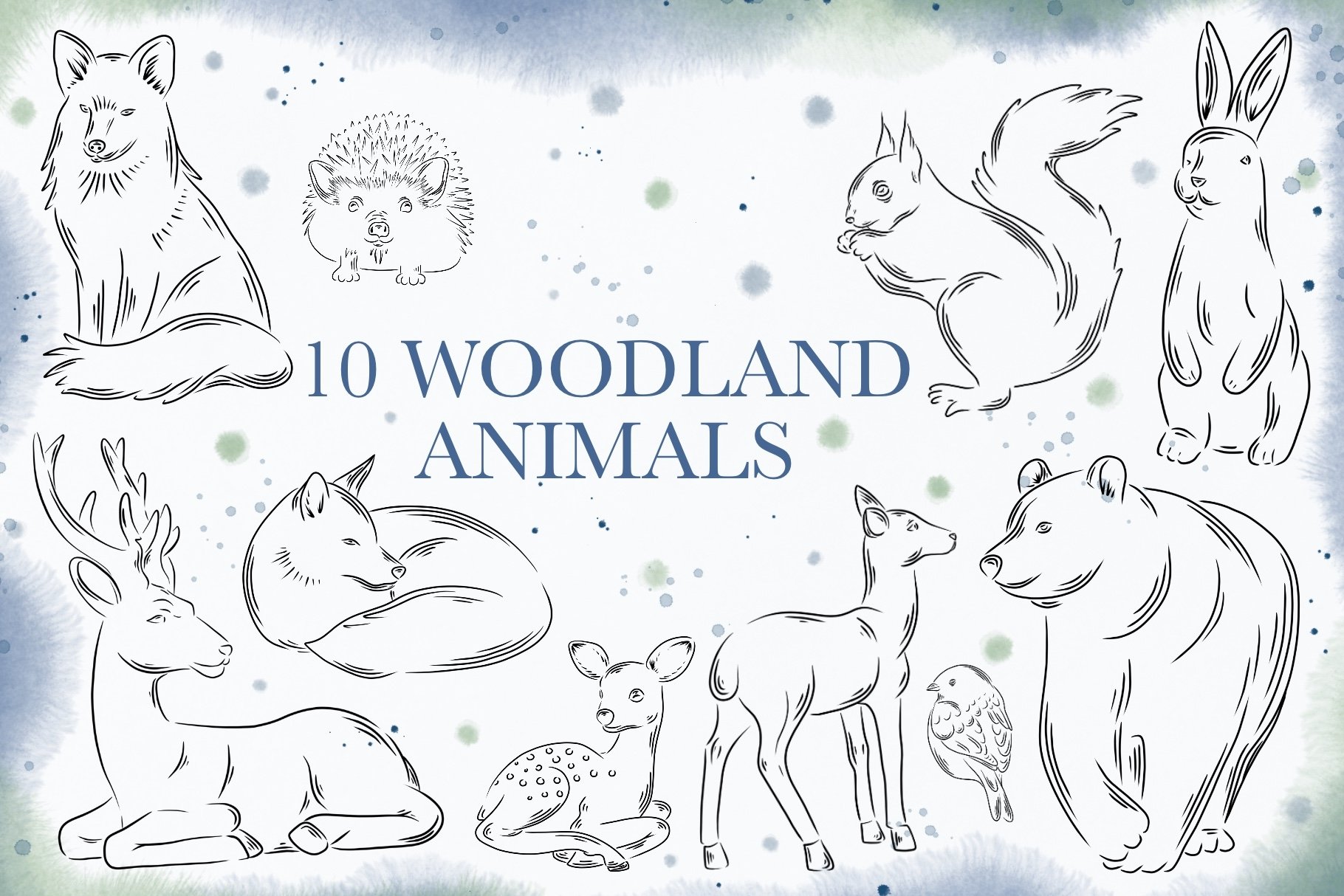 10 Woodland animals PNG (1133412)