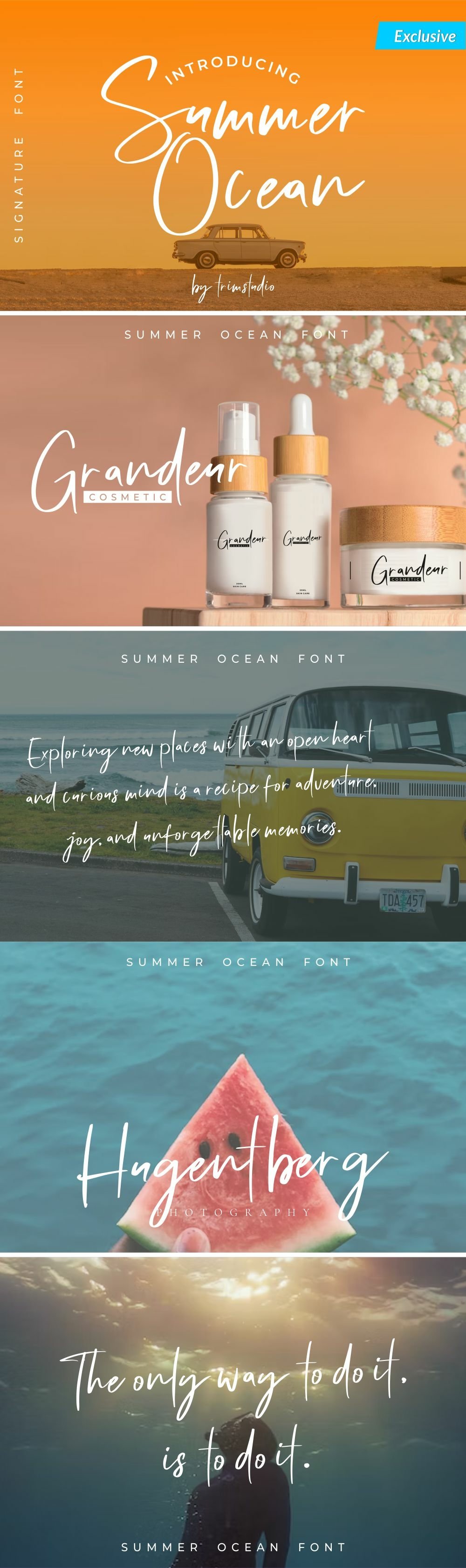 Flowing Signature Font Script