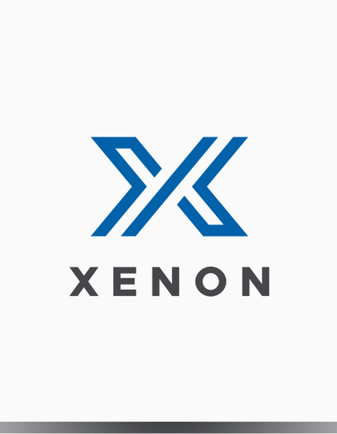 Xenon Letter X vector logo design template (3166093)