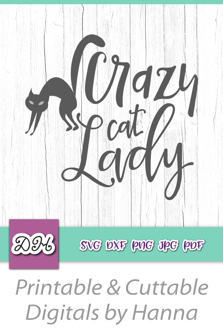 Crazy Cat Lady Sign Funny Pet Lover Cat mom saying