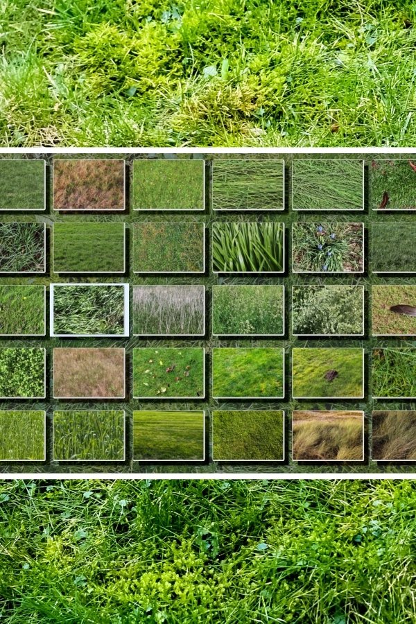 50 Shades of Green Grass - Backgrounds