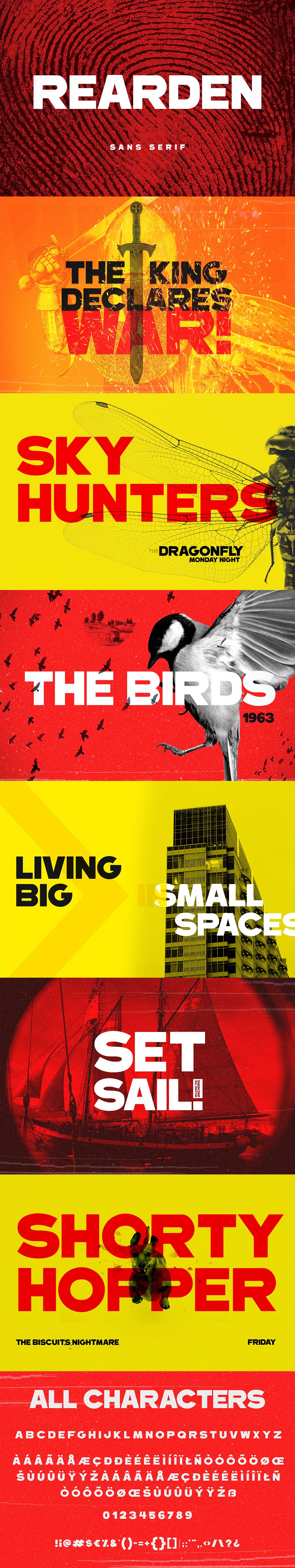 Rearden - Sans Serif Font (1854775)