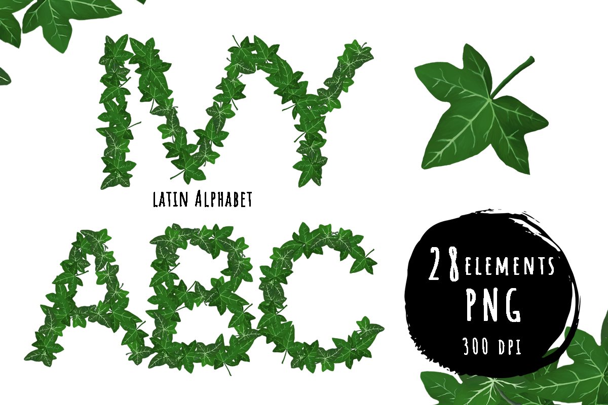 Drawn summer ivy Latin alphabet bundle