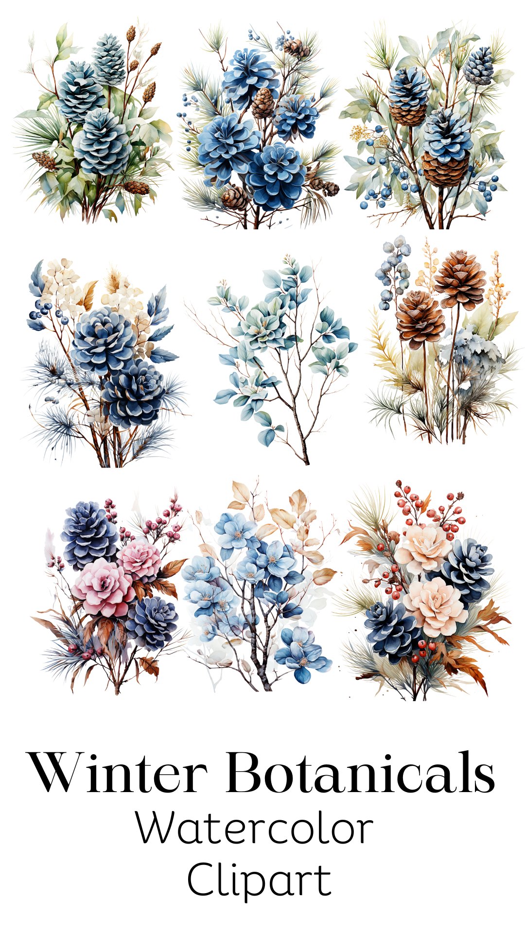 Winter Botanicals watercolor clipart Bundle | winter foliage