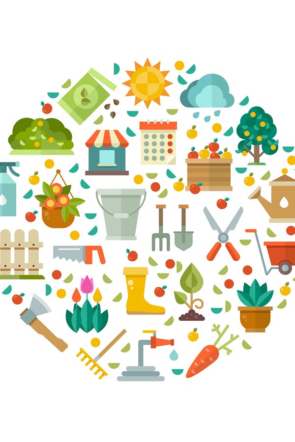 Gardening design with garden tools, vegetable seeds and flow