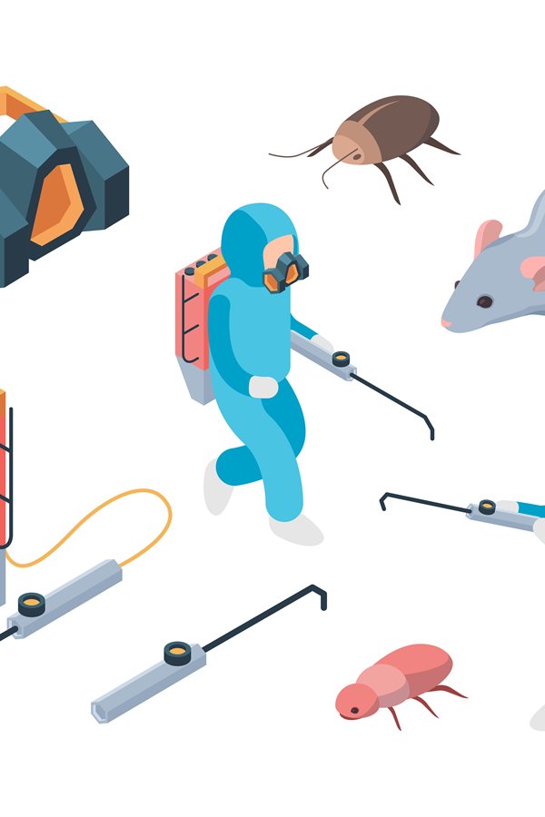 Pest destruction. Fumigation poison controlling pest insects