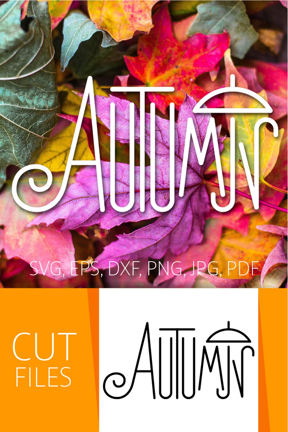 Four Seasons - Autumn, Winter, Spring, Summer Lettering