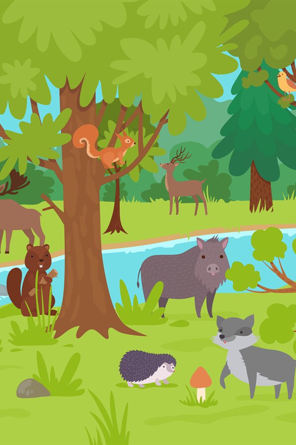 Animals in forest background. Wild cute happy animals living (1626213 ...