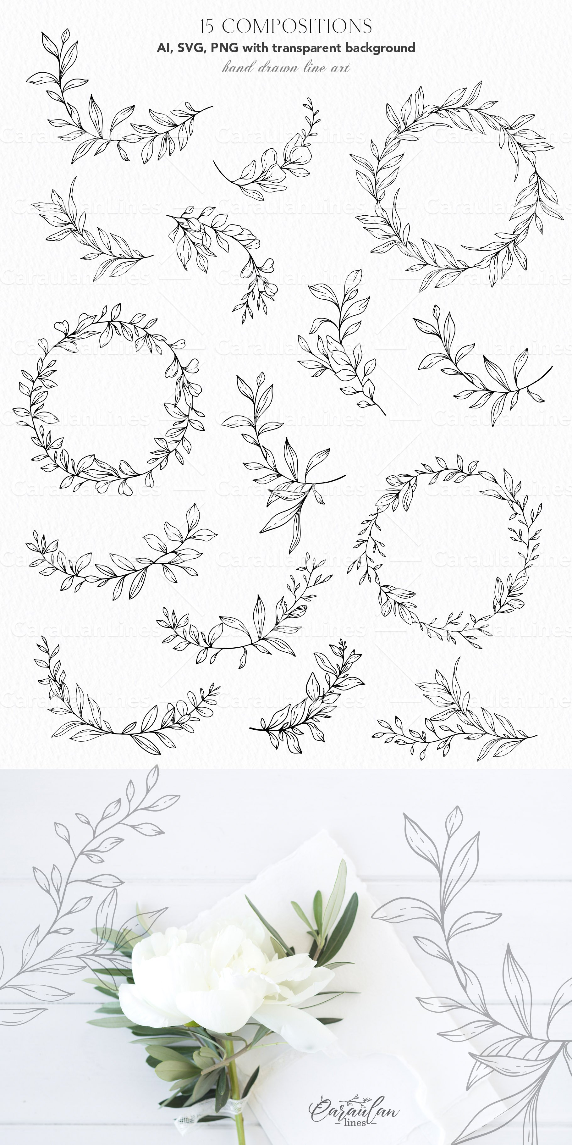 Greenery Line Art SVG, Botanical SVG clipart
