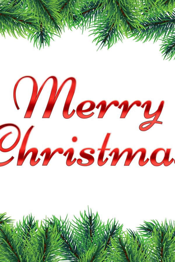 Christmas banner. Fir tree frame, realistic green pine branc