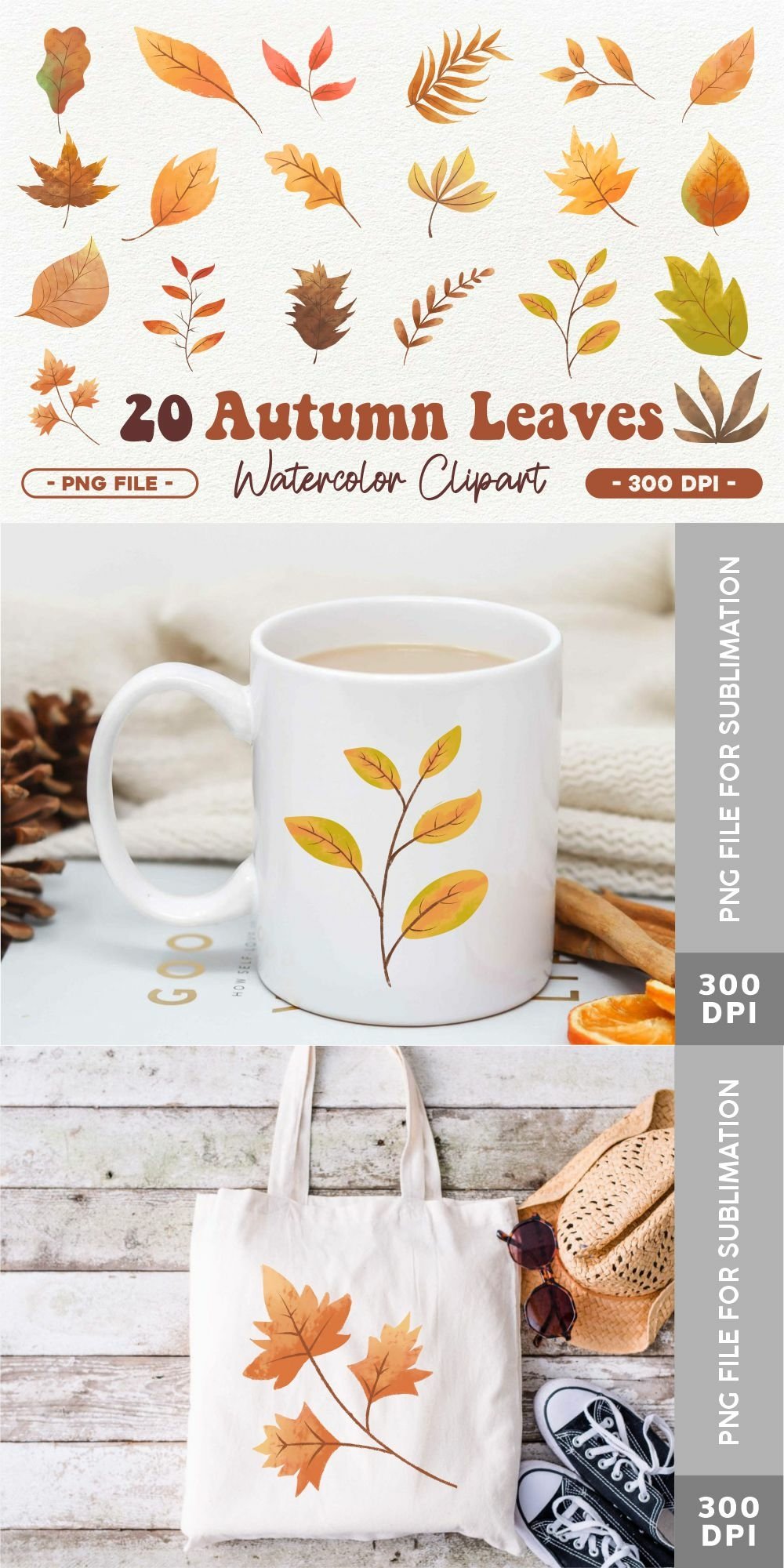 Autumn Leaves Watercolor Clipart PNG, Fall Leaves PNG Bundle