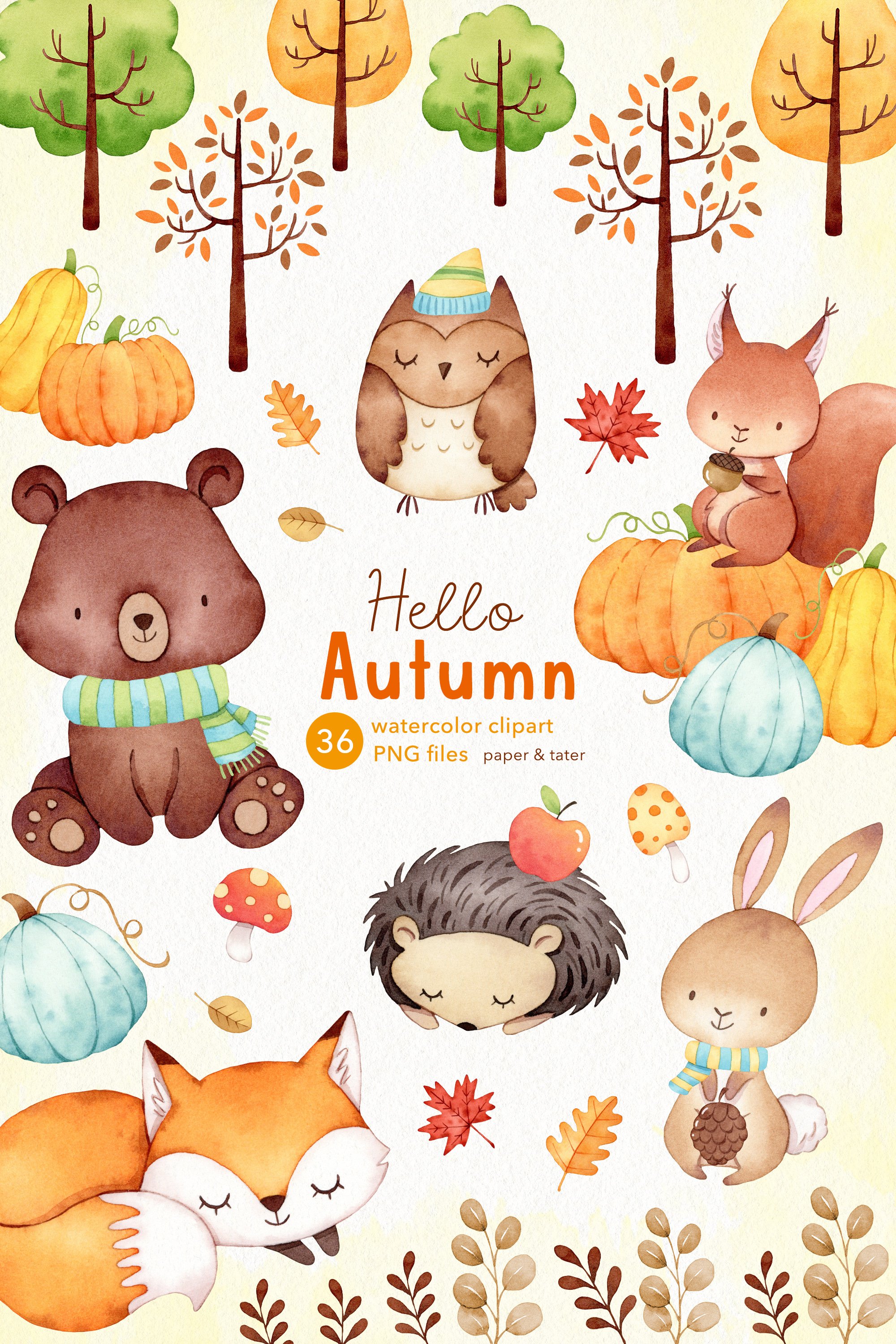 Watercolor Autumn Woodland Clipart, Fall Forest Animals PNG