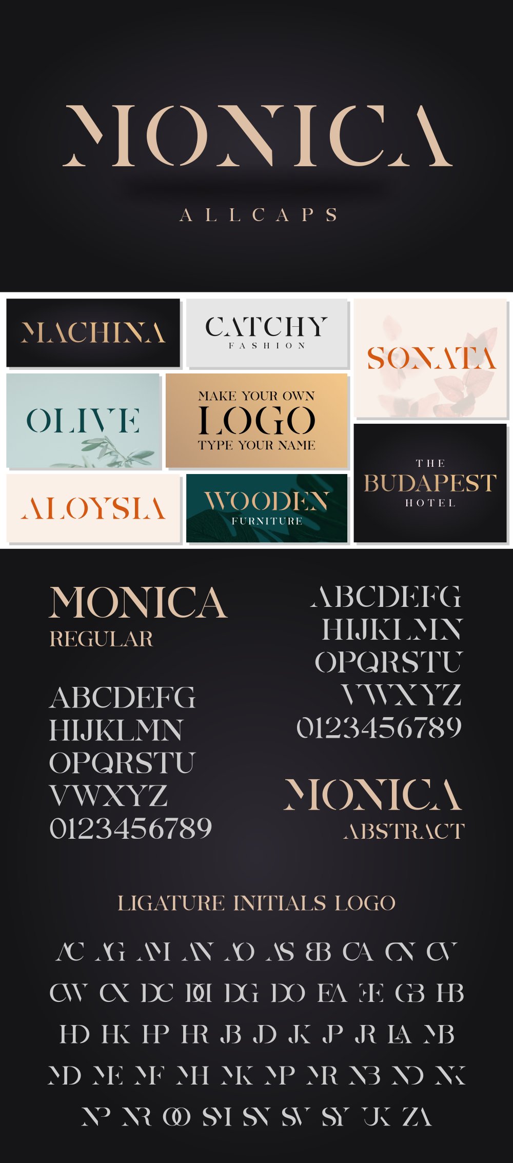 MONICA ALLCAPS - Abstract Vintage Display Font (807869)