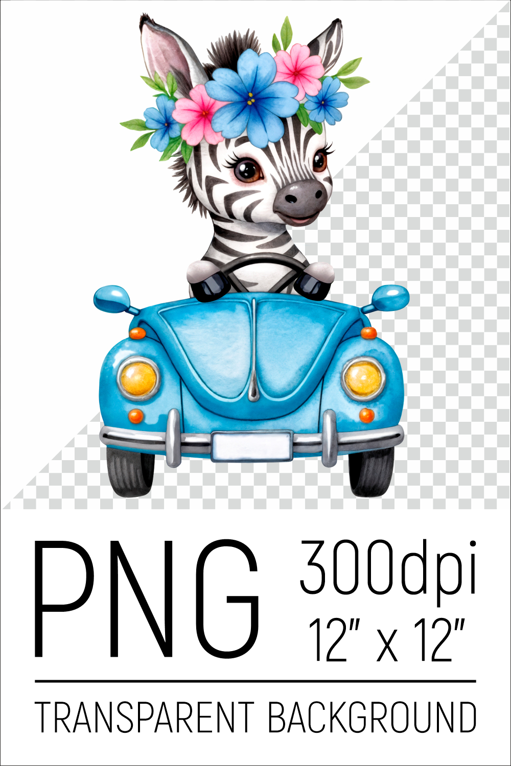 Cute Zebra driving a vintage blue car