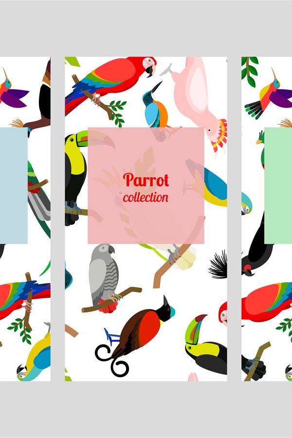 Parrot flyers collection with birds patterns