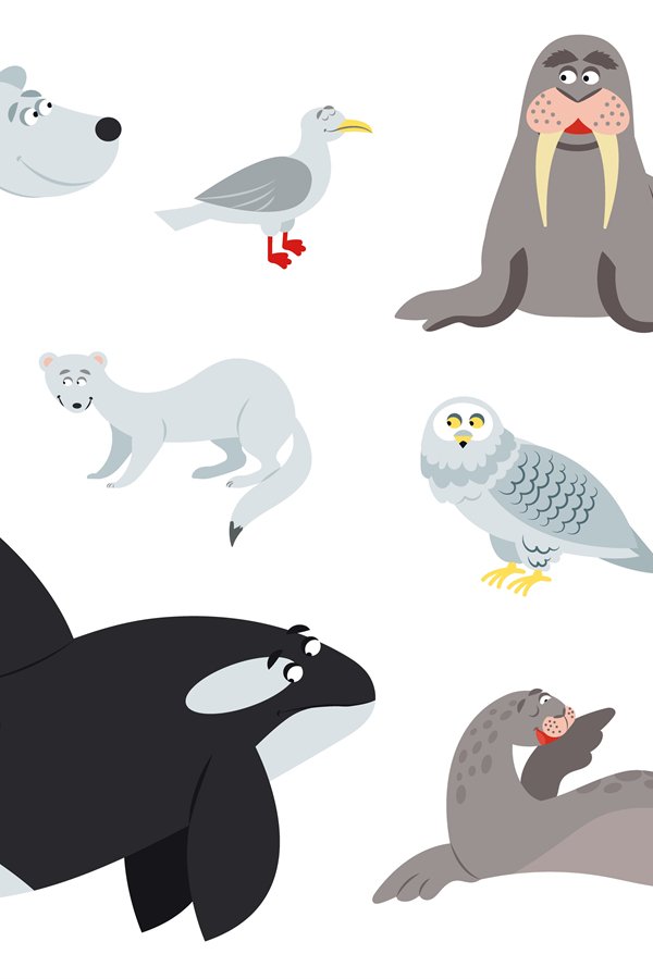 Arctic animals. Polar animal, cartoon cute bear walrus pengu