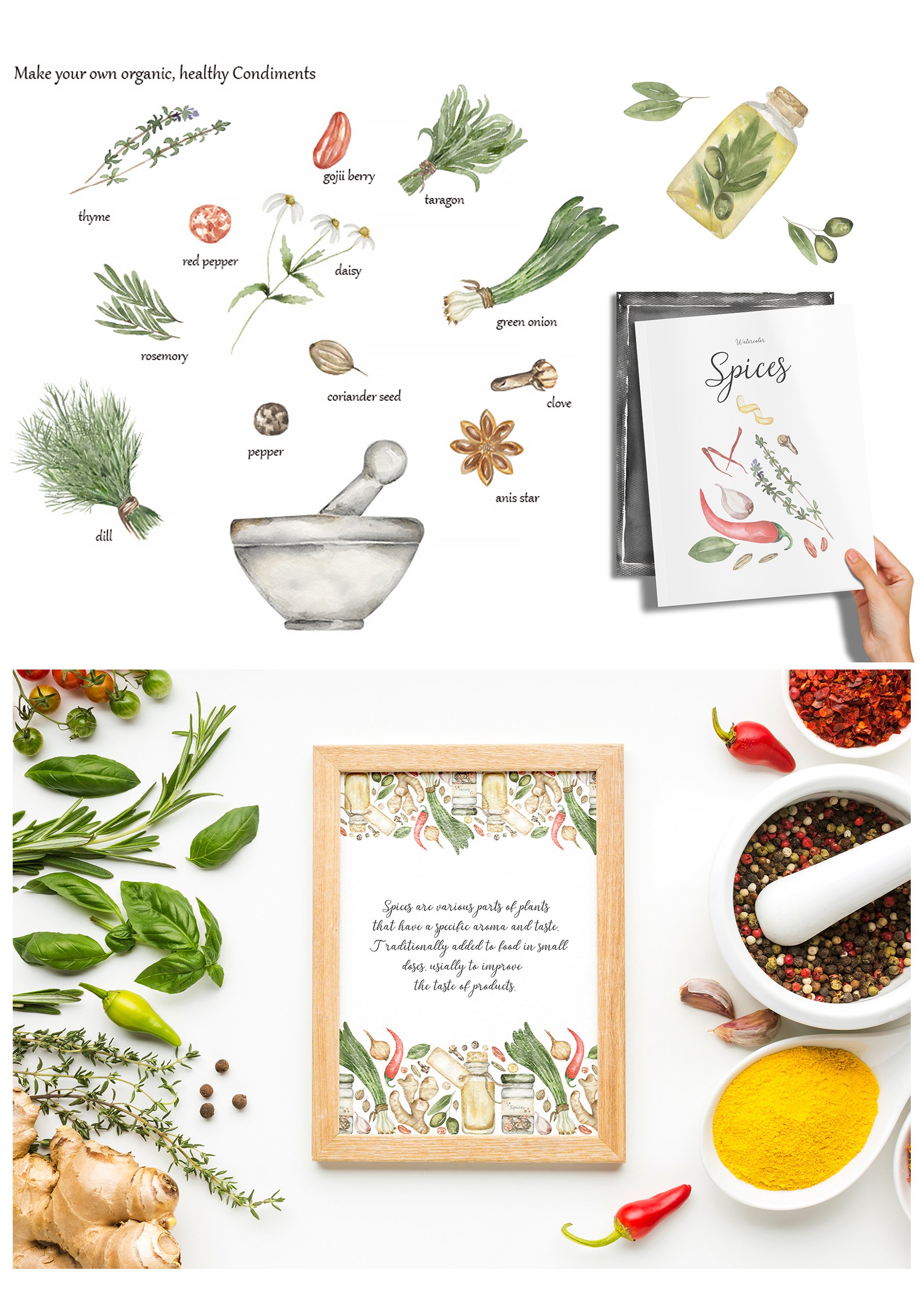 Watercolor Herbs and Spices clipart set Bundle