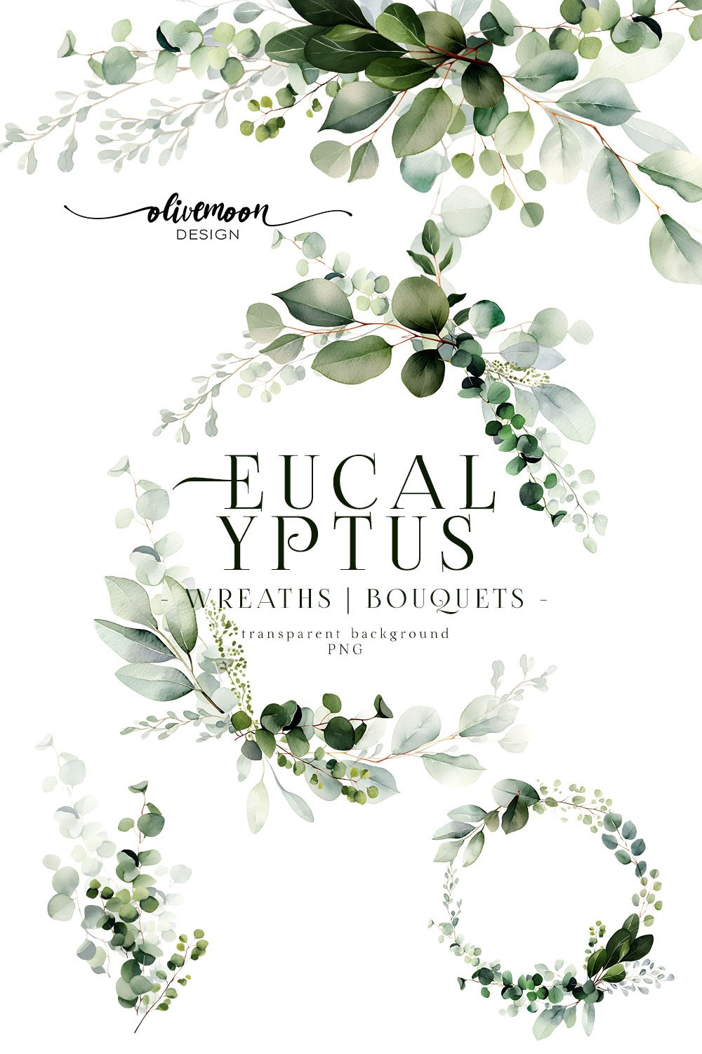 Eucalyptus clipart Watercolor Greenery Wreath Borders