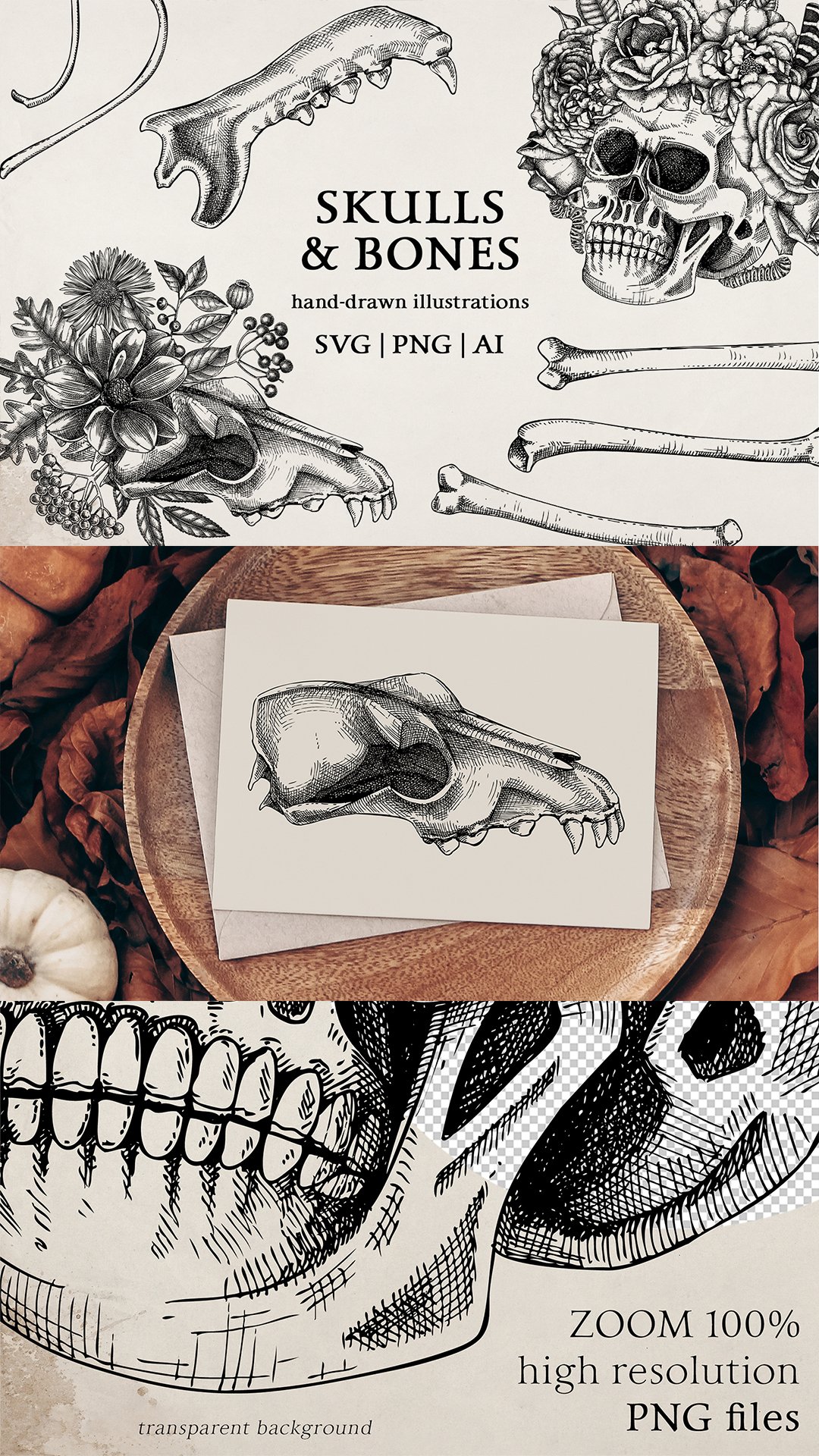 Hand-drawn Skulls and Bones - Halloween vector illustrations