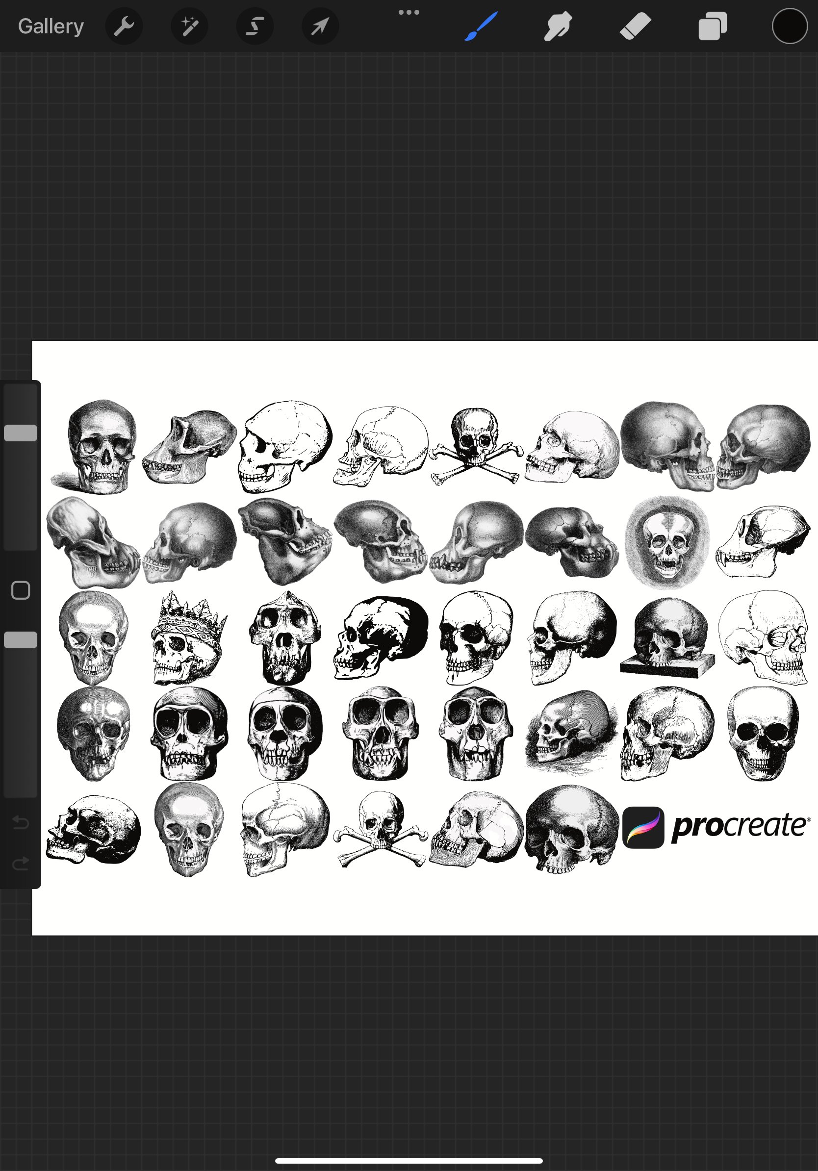 Vintage Skulls Procreate Brush Stamp, 38 Skull Stamps