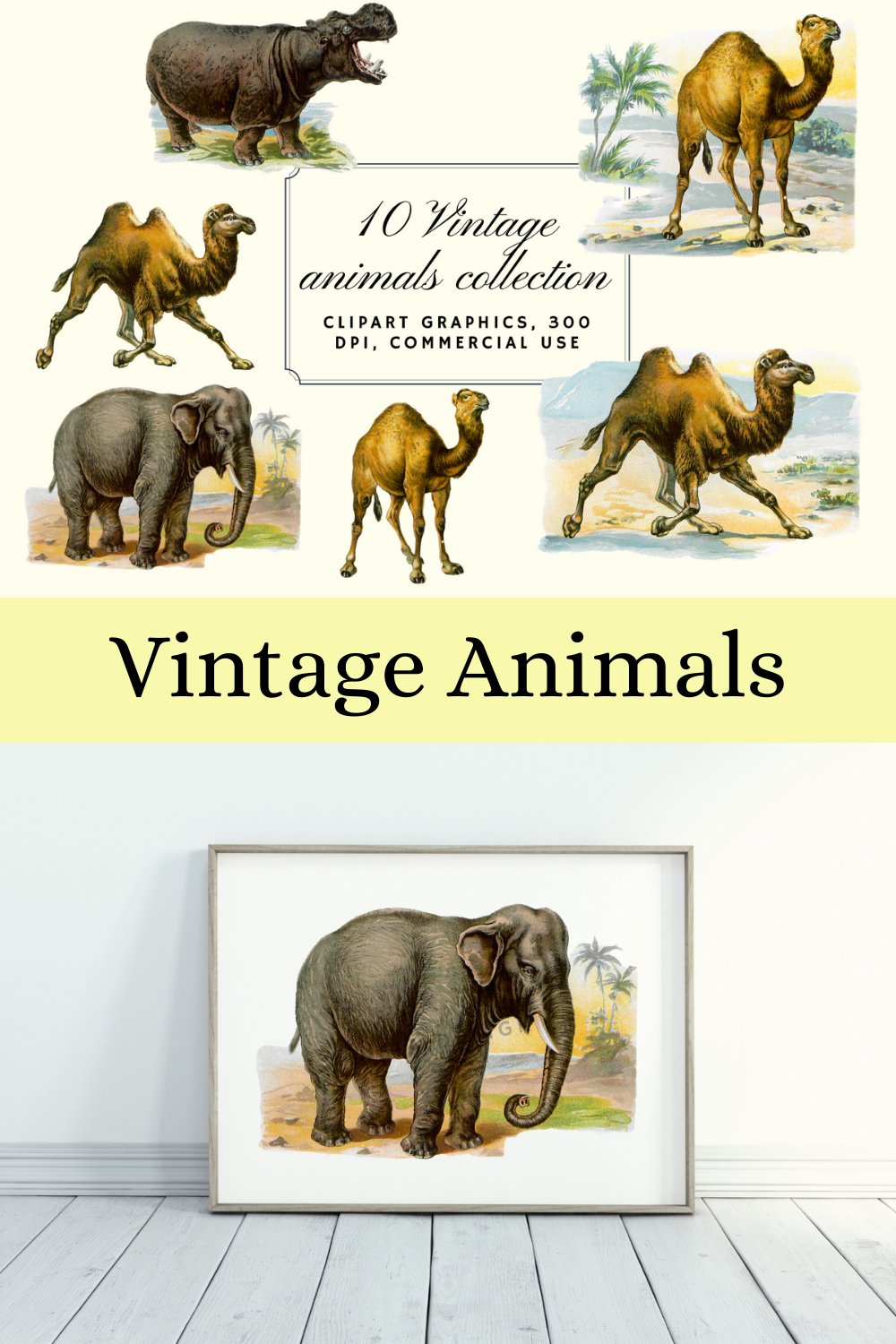 Vintage Elephant Clipart Graphics, Camel Clipart