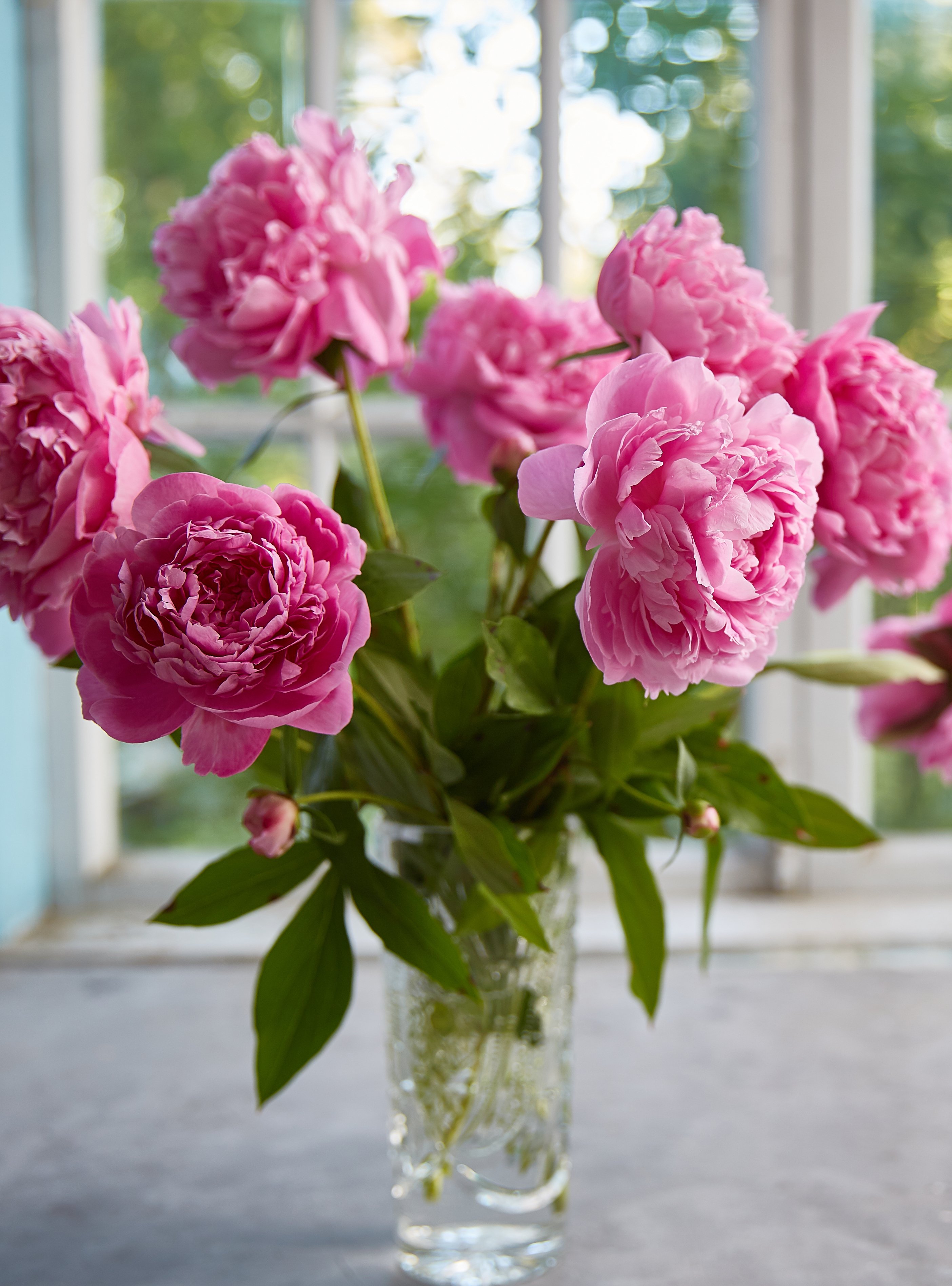 Peonies in a vase on the table against the background