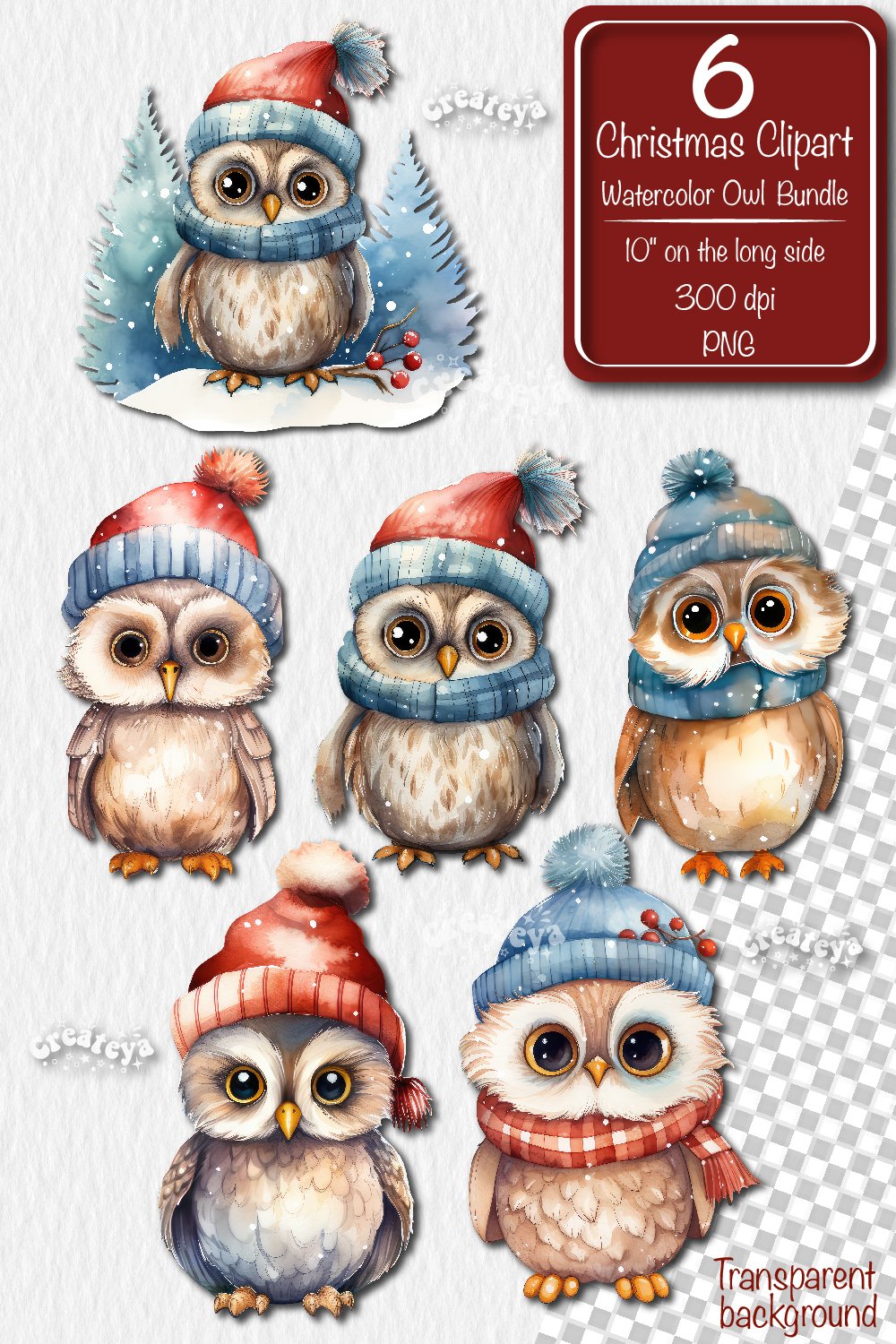 Christmas clipart watercolor Owl Clipart bundle Xmas Owl