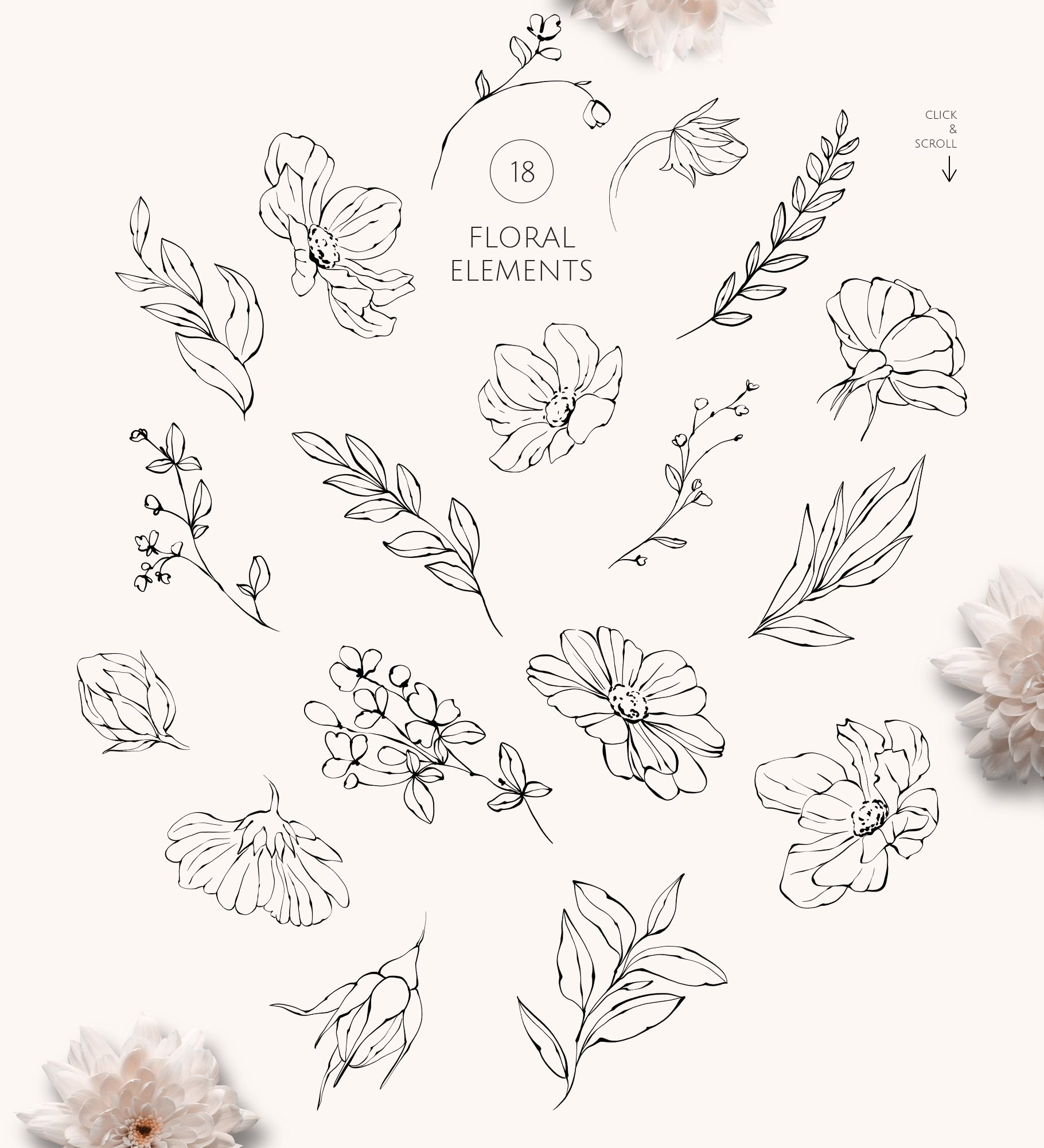 SUMMER FLORA line art set - PNG bouquets, elements, frames
