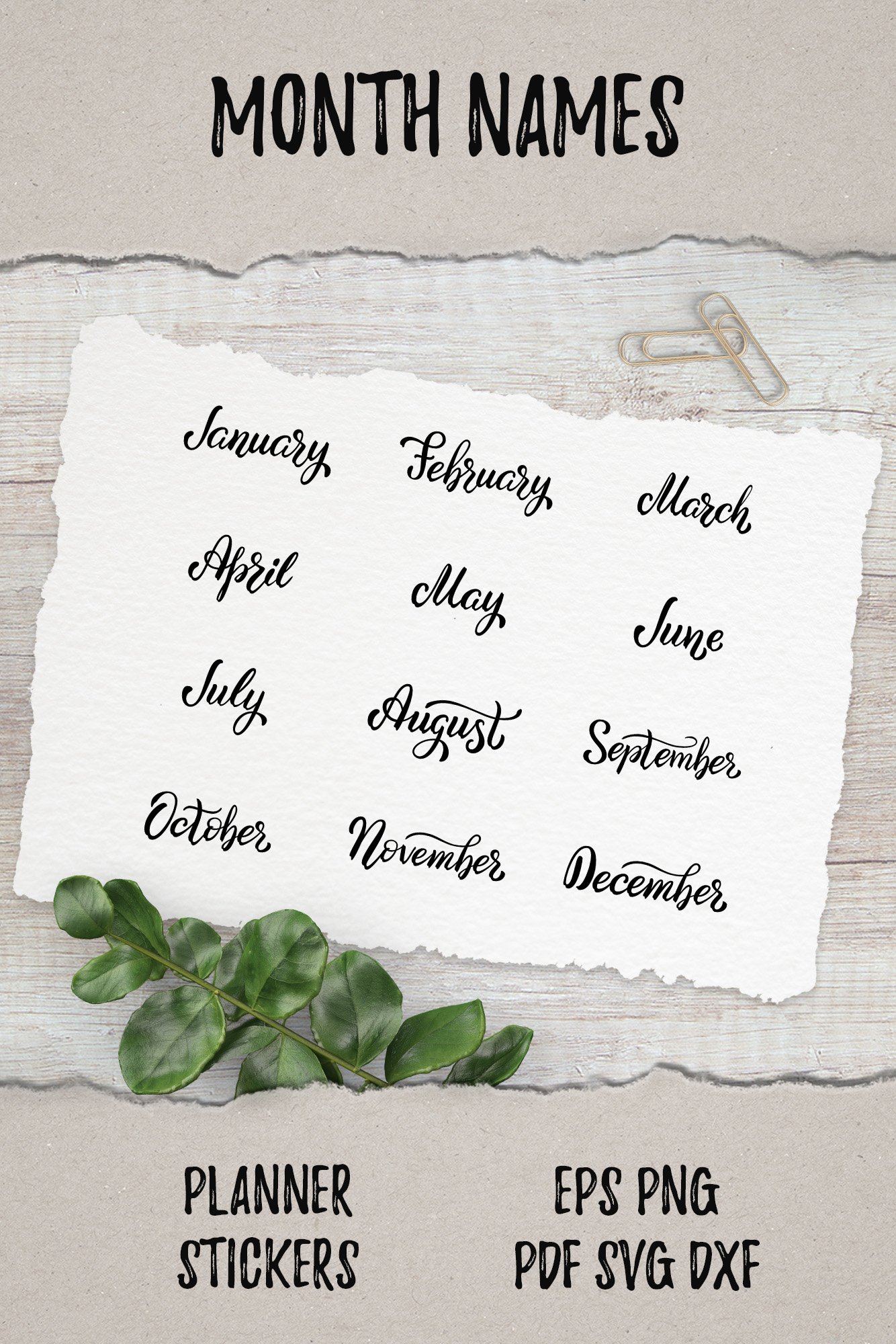 Planner Sticker Lettering Month Names | EPS|PNG|PDF|SVG|DXF