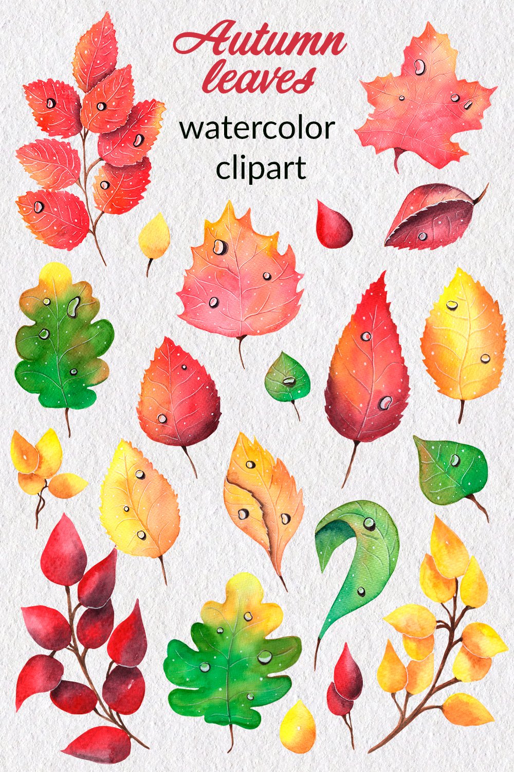 Autumn leaves watercolor clipart | Fall leaf clip art PNG