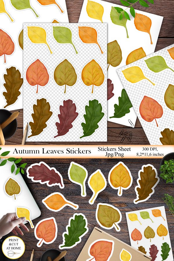 Autumn Leaves Stickers | PNG Printable Sticker Bundle