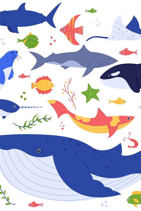 Ocean animals. Cute fish, orca, shark and blue whale, marine
