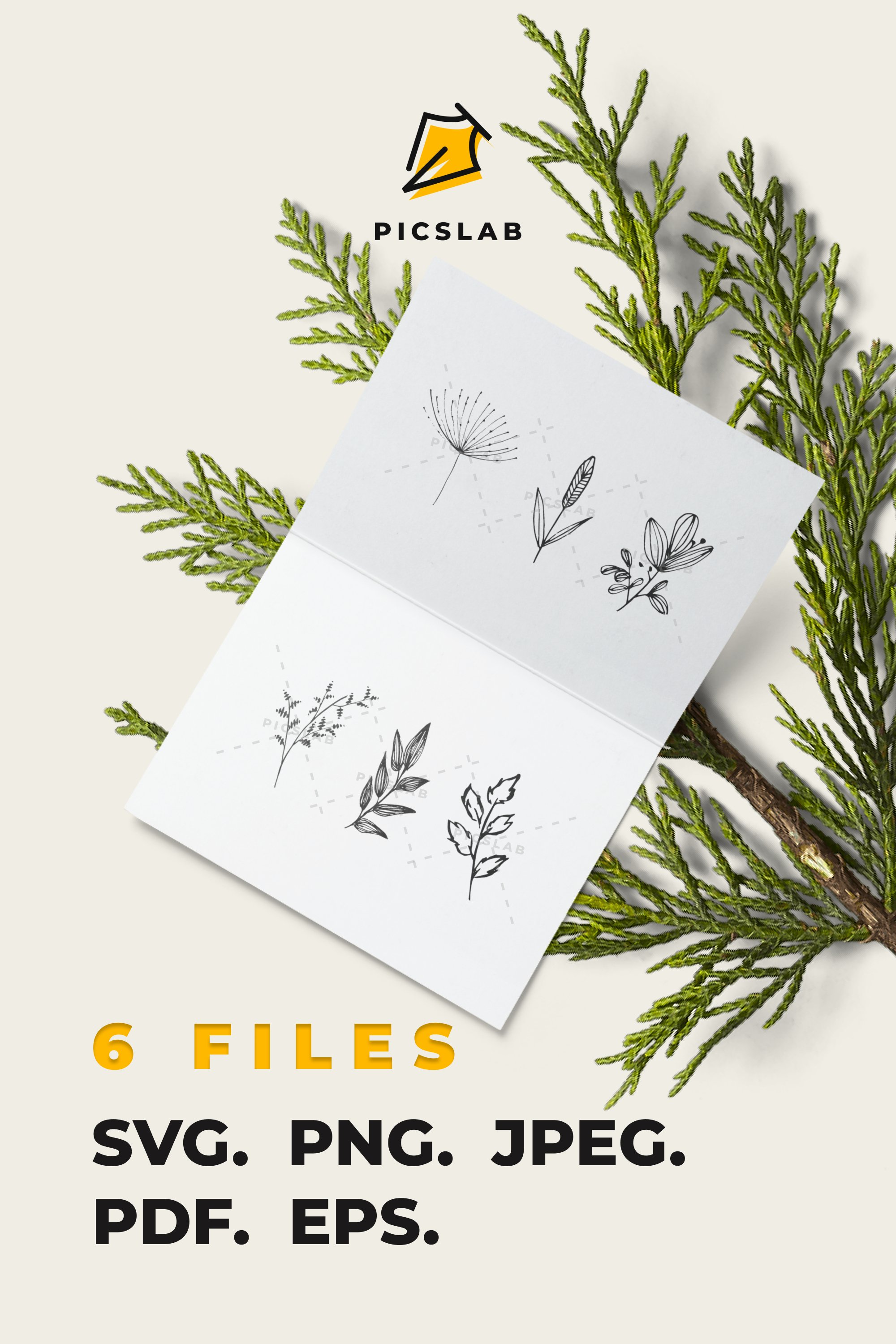 Leaves bundle, plants bundle (636699)