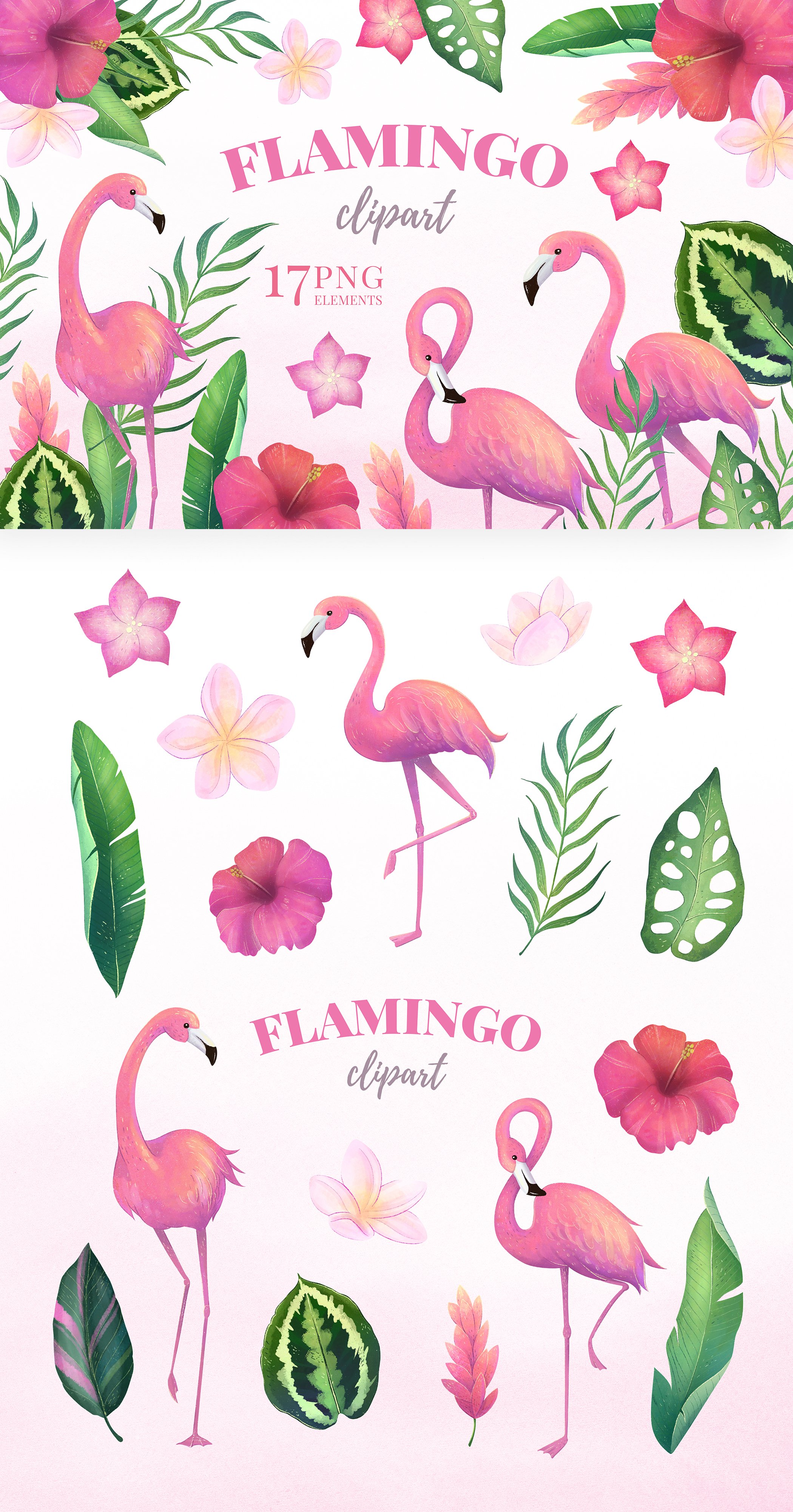 Tropical Flamingo Summer Clipart Collection