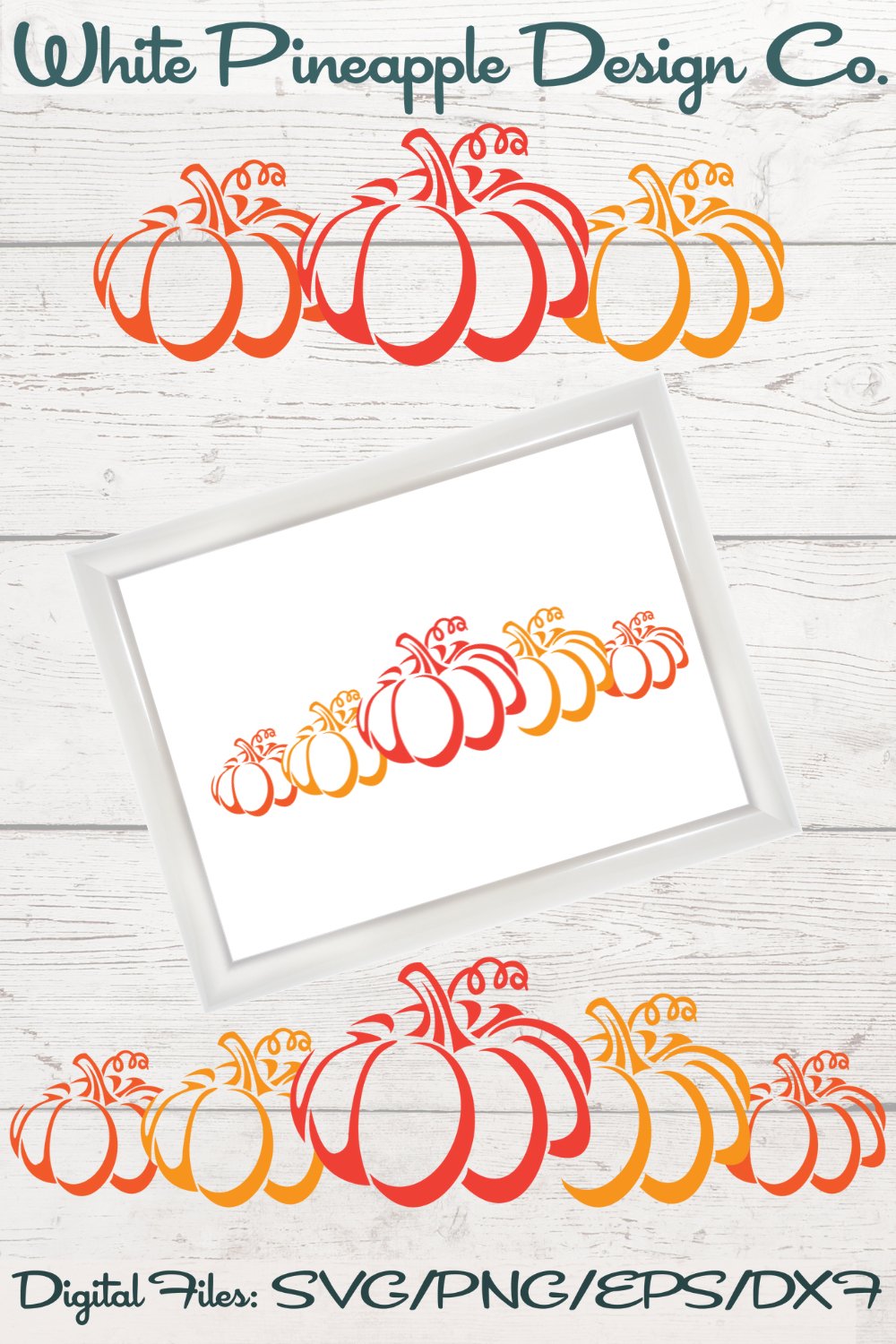 Fall Pumpkin SVG, Harvest Pumpkins SVG, Fall Decor SVG