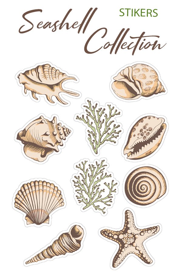 Seashell Printable Stickers for Cricut/Silhouette PNG, JPG