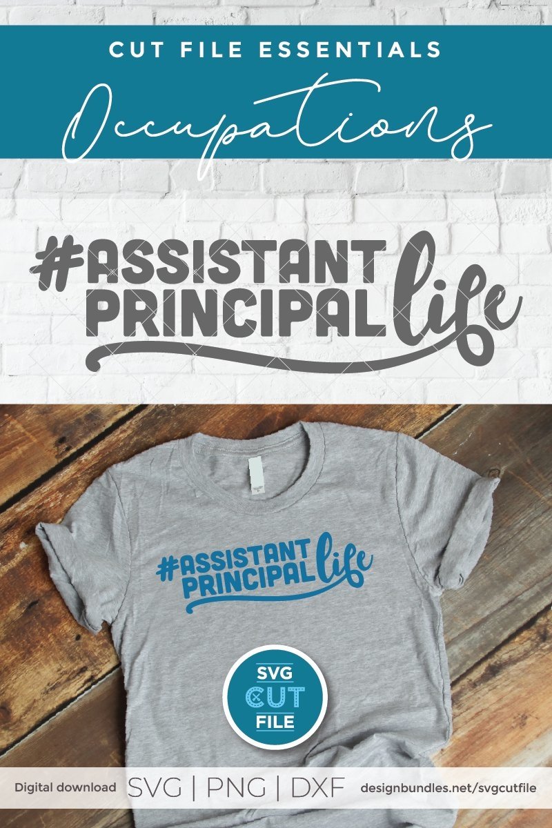 Assistant principal svg, Asst principal svg, vice principal
