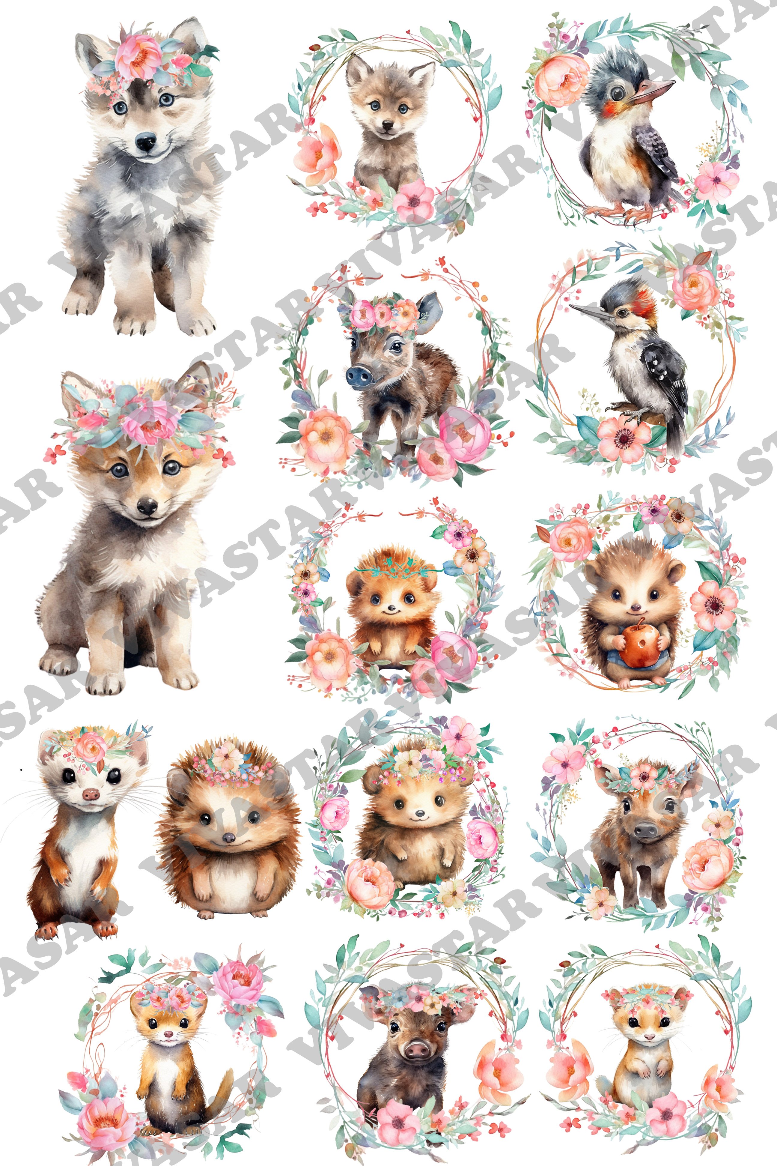 Woodland animals, watercolor clipart, FOREST (2655214)