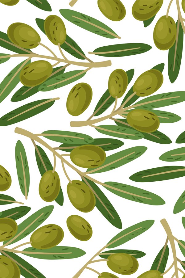 Olive branch seamless pattern. Vector greek olives branches