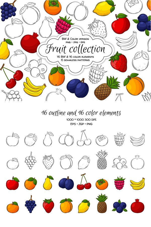 Fruit collection. Elements and patterns. Color and Outline.