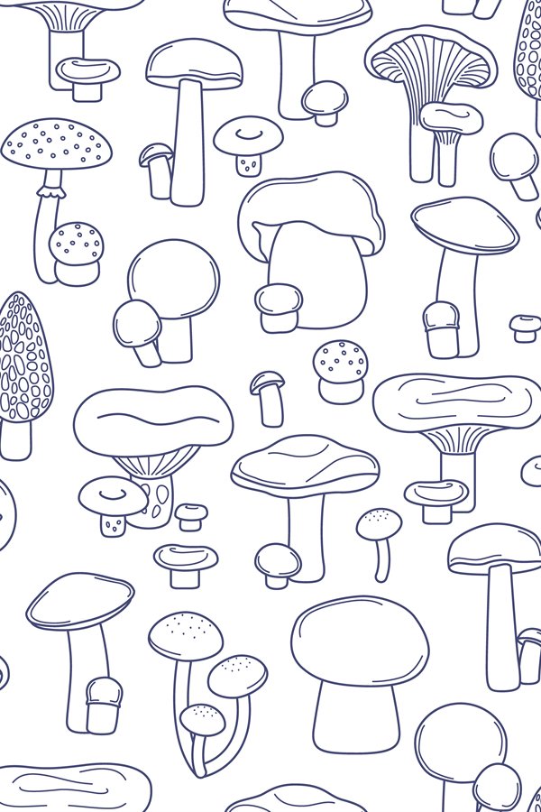 Vector seamless mushrooms pattern