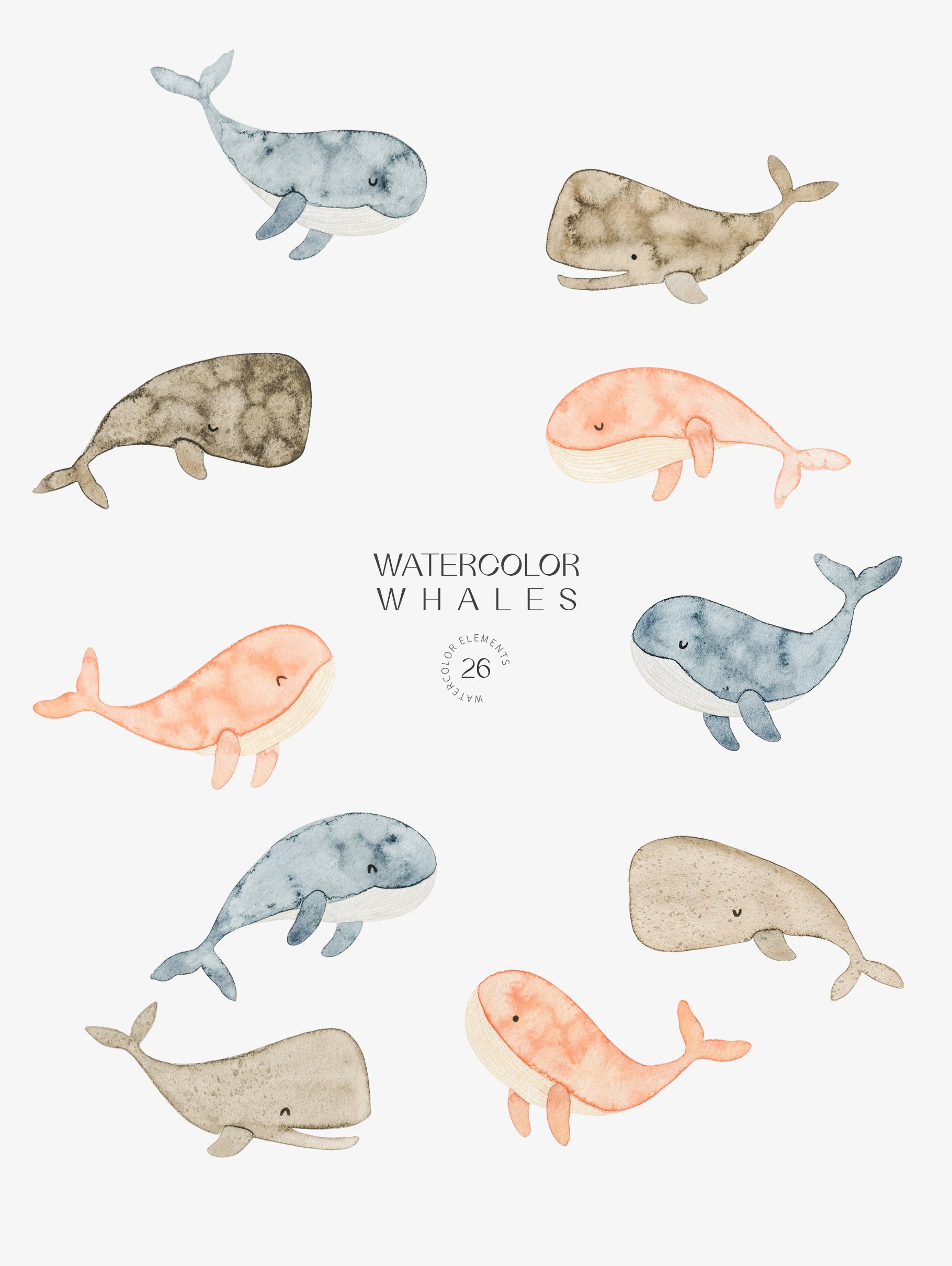 Watercolor cute whale clipart. (1112290)