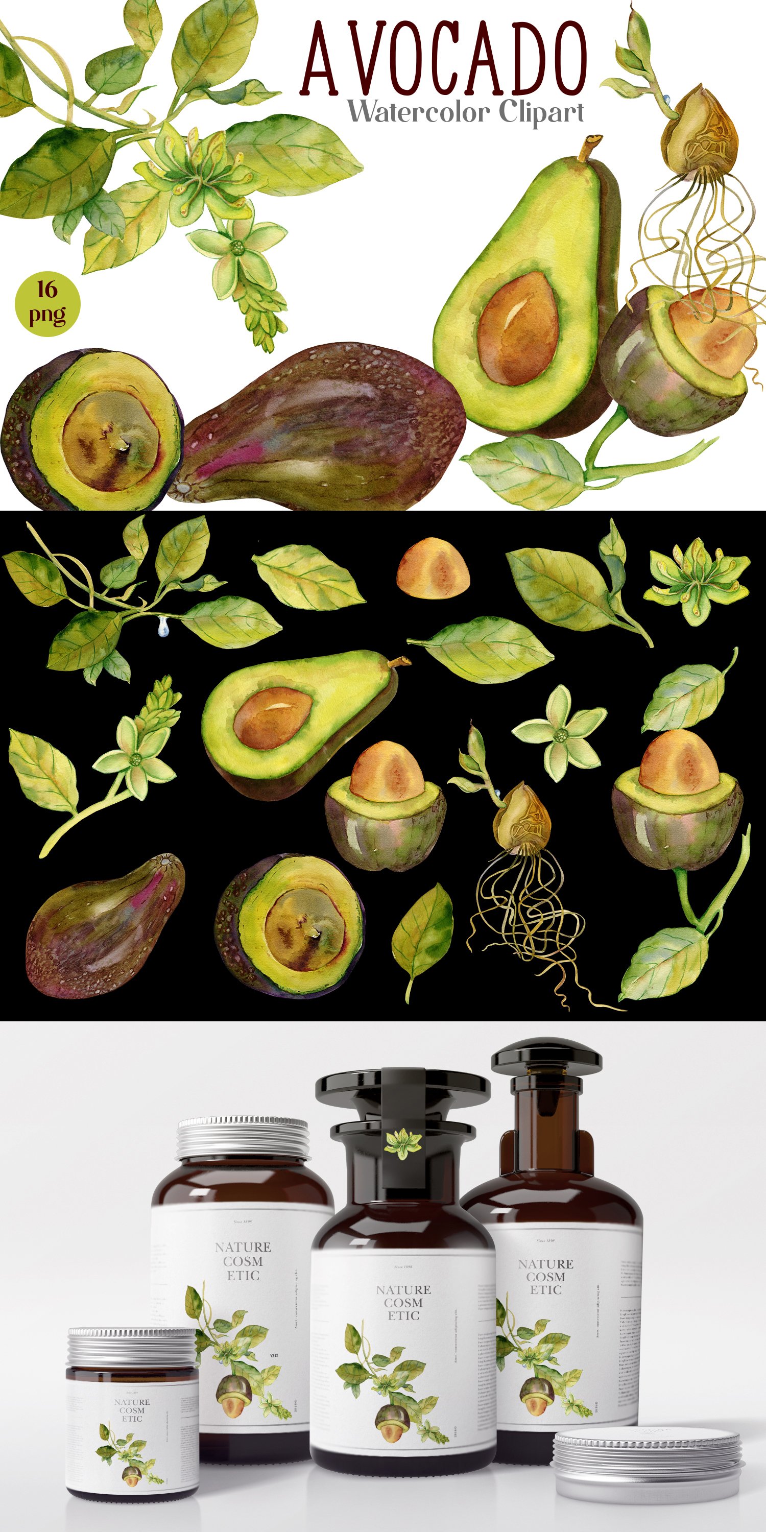 Avocado clipart. Watercolor tropical fruits