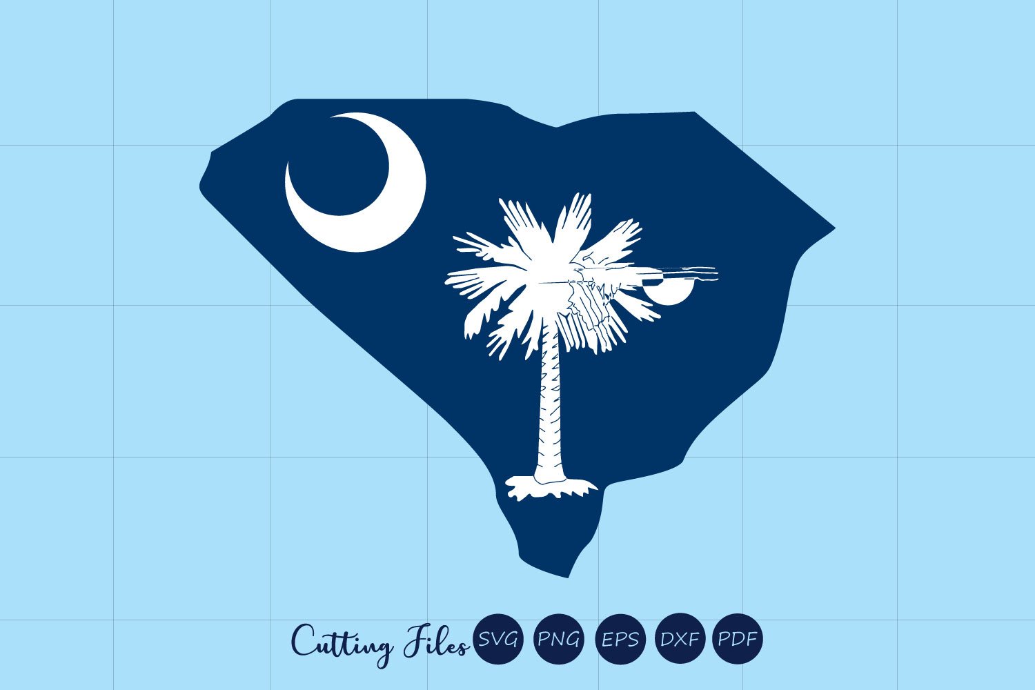 South Carolina state with flag background