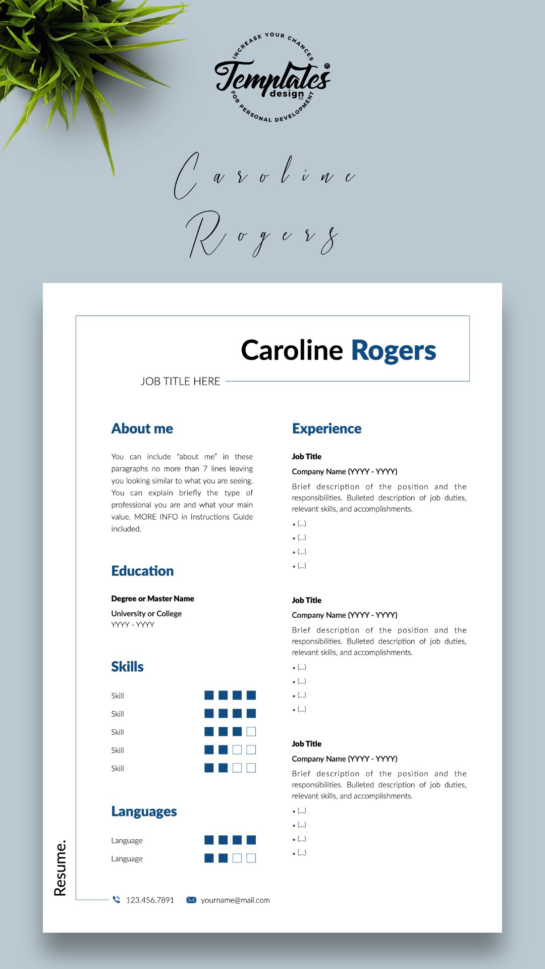 Modern Resume CV Template for Word & Pages (738836)