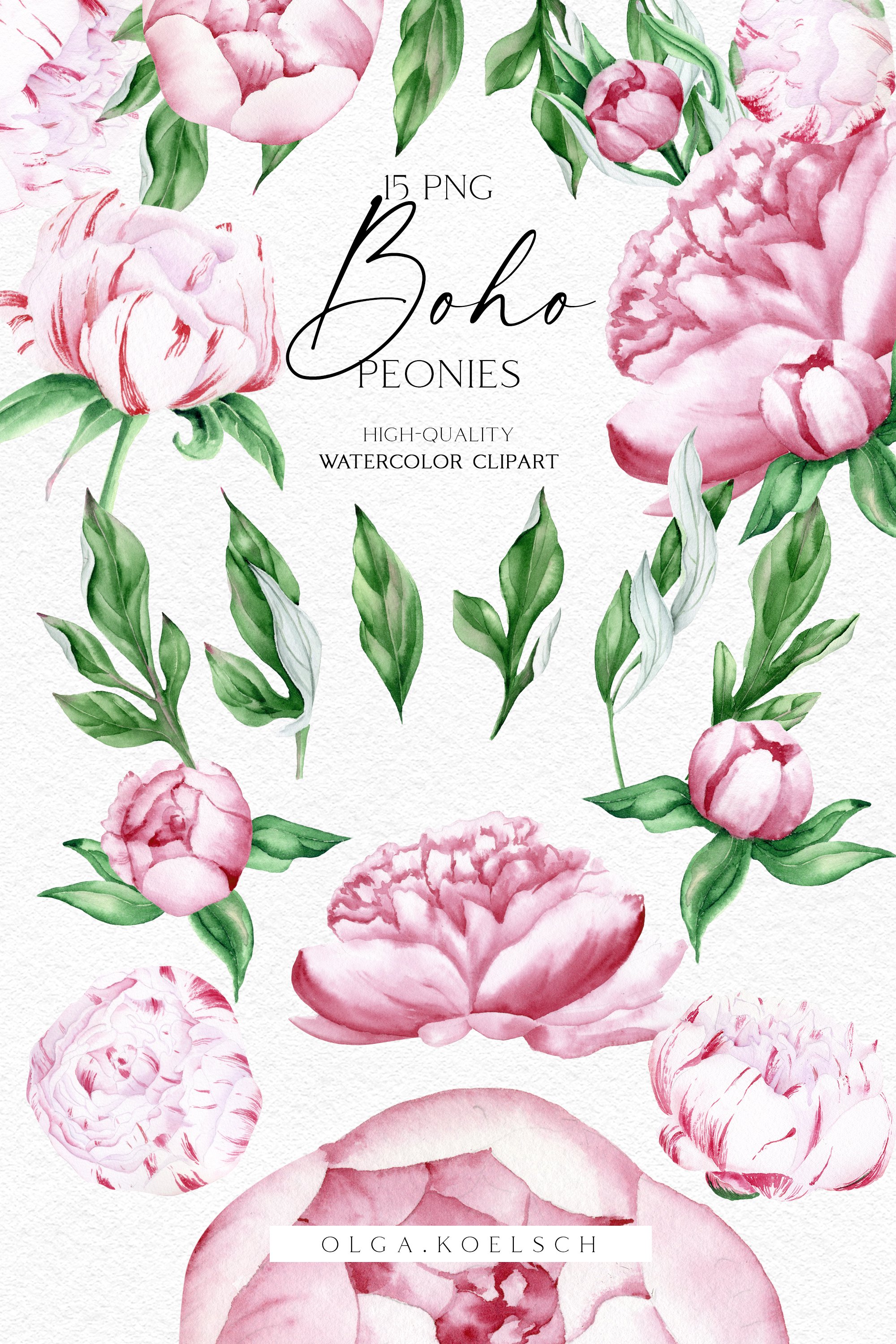Watercolor pink peonies clipart, Watercolor boho (1304165)