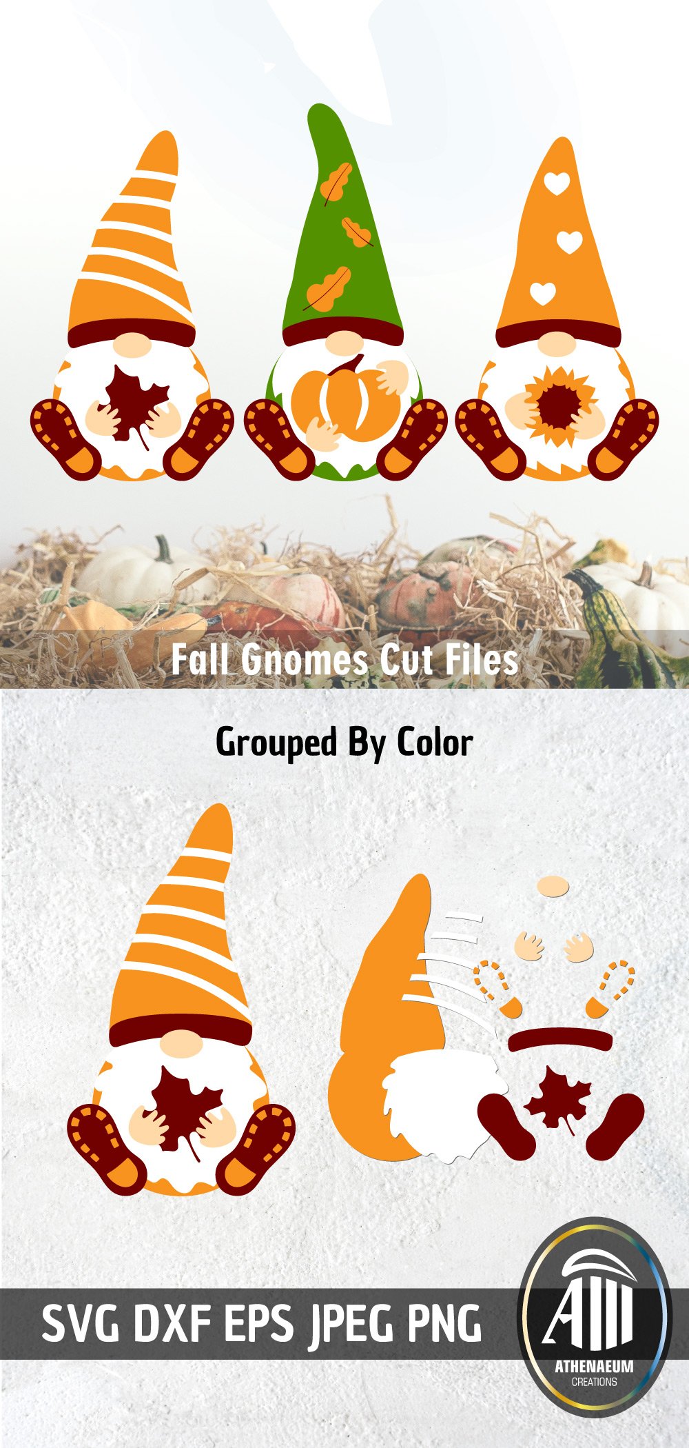 Fall Gnomes SVG Thanksgiving Gnomes Autumn Gnome Cut files