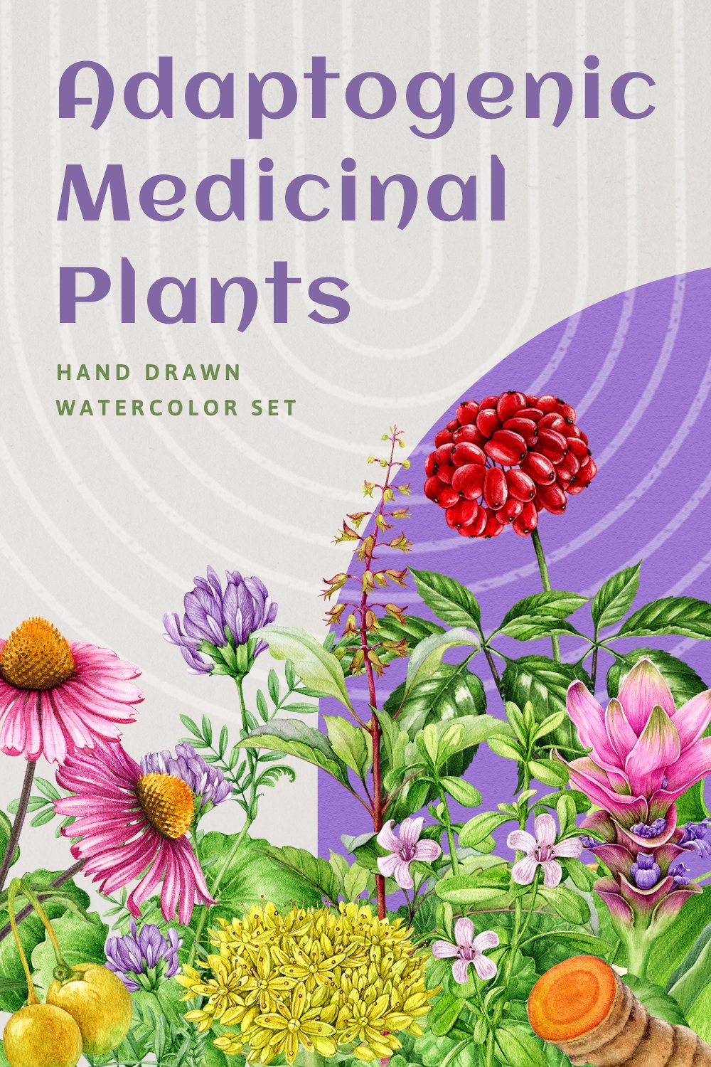 Medicinal Adaptogenic Plant Set